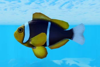 Orangefin clownfish | The reef (ROBLOX) Wiki | Fandom