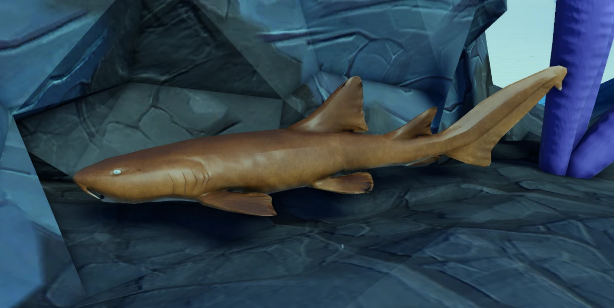 Nurse shark | The reef (ROBLOX) Wiki | Fandom