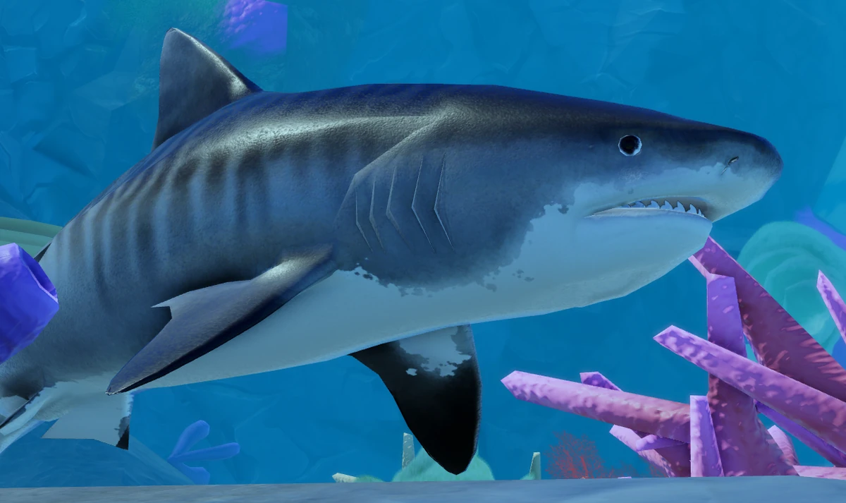 Roster | The reef (ROBLOX) Wiki | Fandom