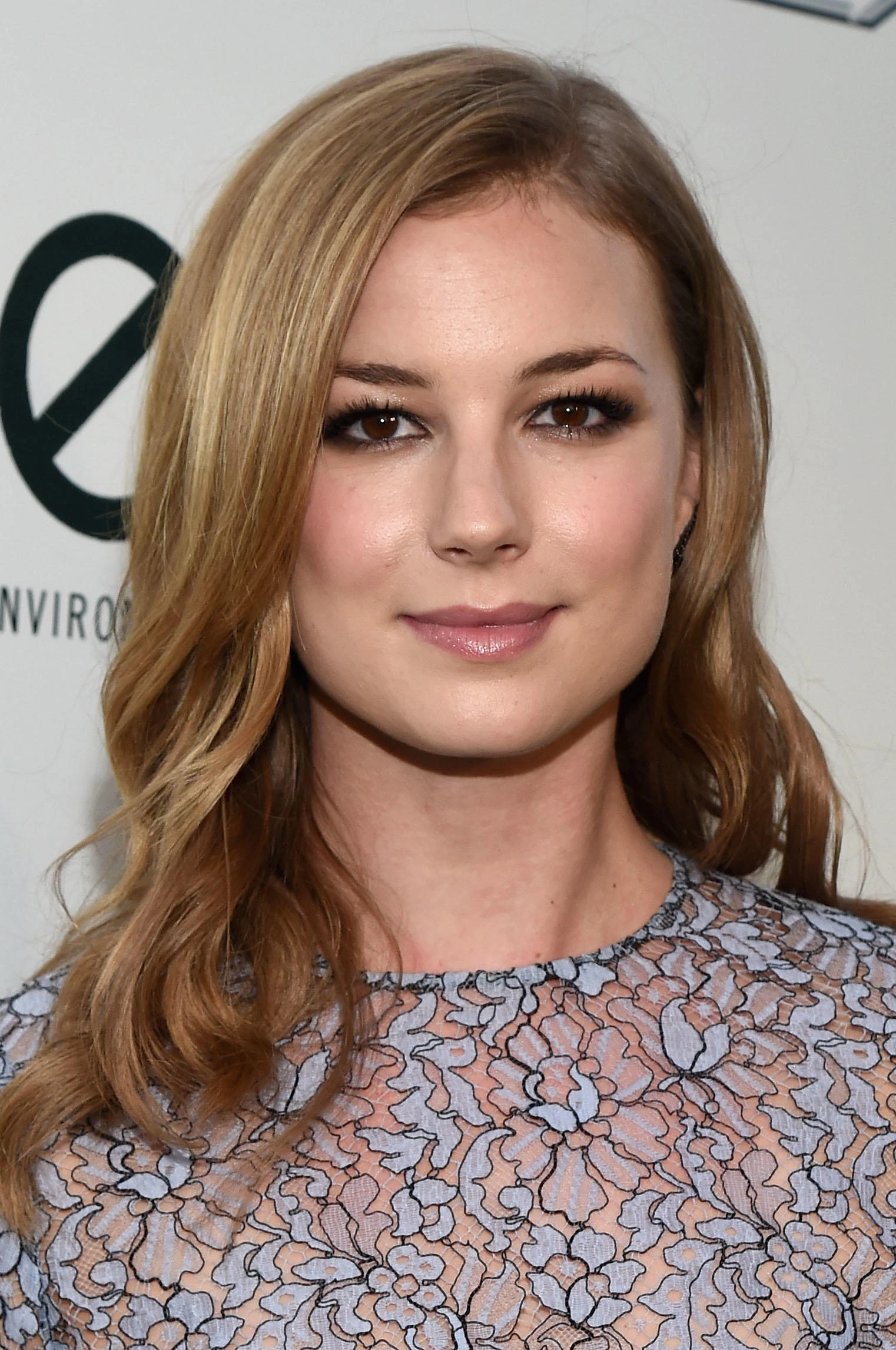 Emily Vancamp Hair