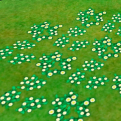 Flower Field | The Ribbit King Wiki | Fandom