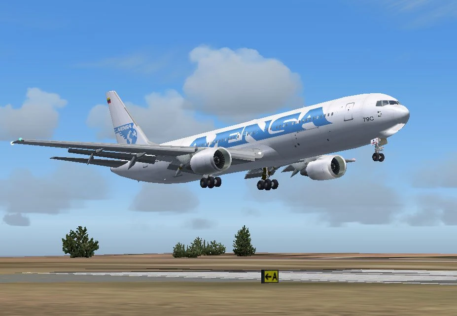 Robloxian Airlines flight 647 | The Roblox Airline Industry Wiki | Fandom