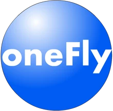 OneFly Alliance | The Roblox Airline Industry Wiki | Fandom