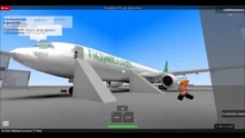 Hayabusa Airlines | The Roblox Airline Industry Wiki | Fandom