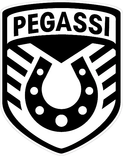 Pegassi Aerospace | The Roblox Airline Industry Wiki | Fandom