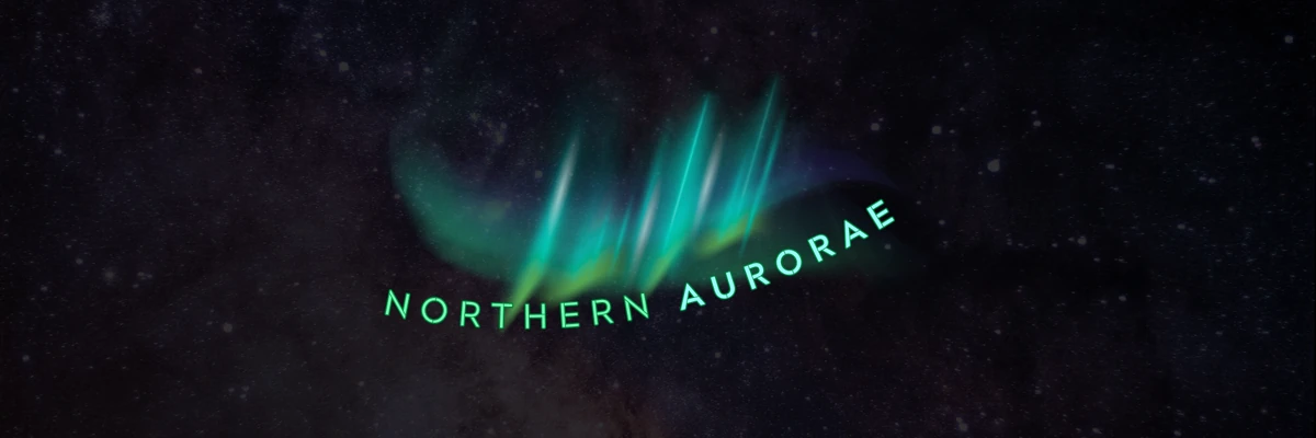 Northern Aurorae | The Roblox Airline Industry Wiki | Fandom