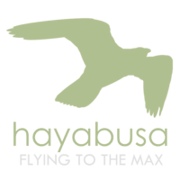Hayabusa Airlines | The Roblox Airline Industry Wiki | Fandom