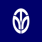 Flags | The Conquerors Wiki | Fandom