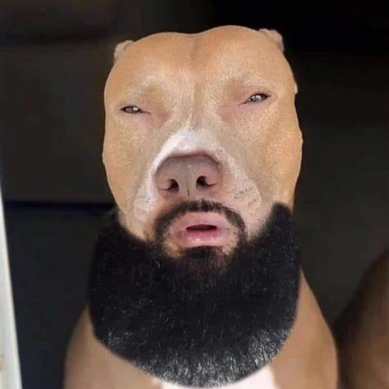 DogeTrainz | The Roblox Sodor Stories Wiki | Fandom