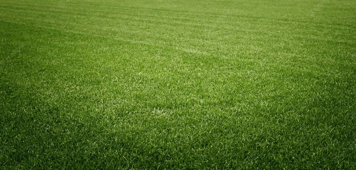 Infinite grass field with two chairs in it | The roleplay Wiki | Fandom
