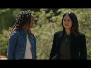 Season 7 | The Rookie Wiki | Fandom