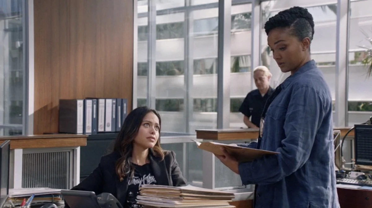 Watching the Detectives | The Rookie Wiki | Fandom