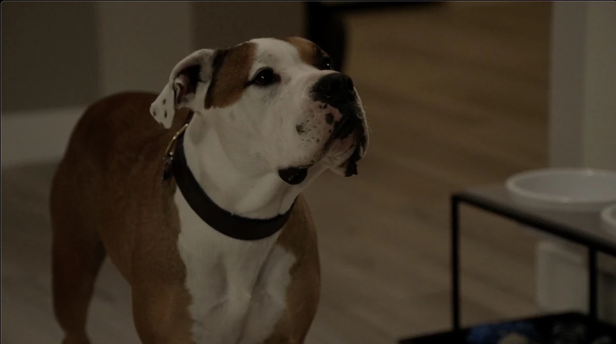 Kojo | The Rookie Wiki | Fandom