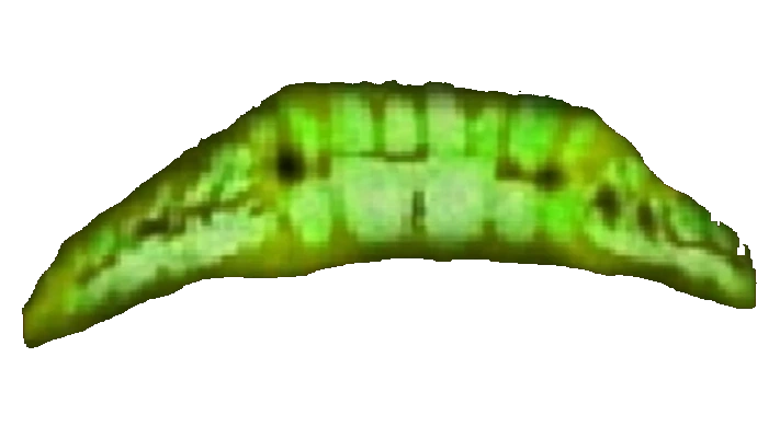 06-V (The Verse Entity) | The Rooms Ideas Wiki | Fandom