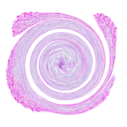 A-5 (The Hallucination) | The Rooms Ideas Wiki | Fandom