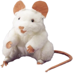 QQ-100 | The Rooms Ideas Wiki | Fandom