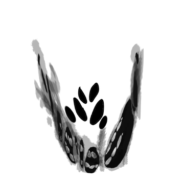 The Xx Logo Wallpaper