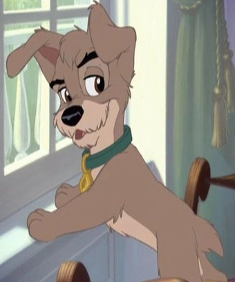 Scamp | The S.A.F.T Squad Wiki | Fandom