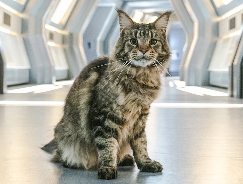 Grudge | Rioluverse + Sagwaverse Wiki | Fandom