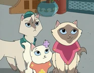 Sagwa Miao | Rioluverse + Sagwaverse Wiki | Fandom