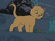 The Alley Cats | Rioluverse + Sagwaverse Wiki | Fandom