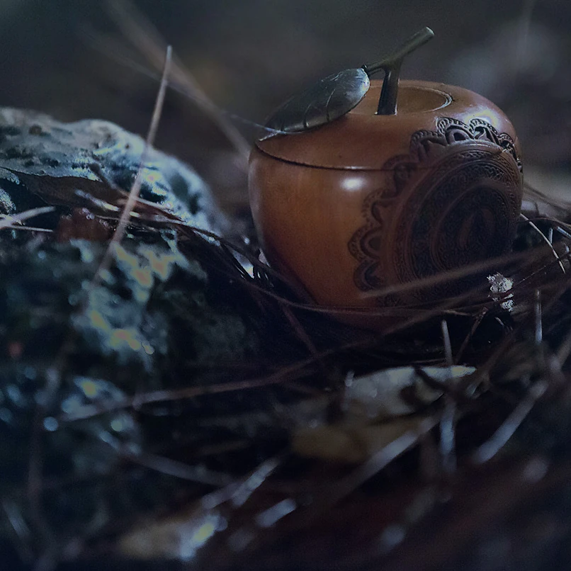 Malum | The Salem Wiki | Fandom