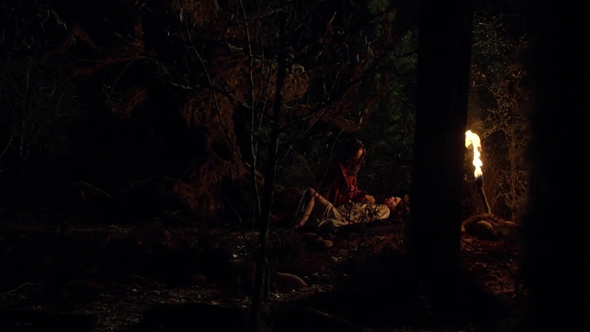 Witch Tree | The Salem Wiki | Fandom