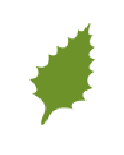 Nettle Leaf | The Sapling-Pedia | Fandom