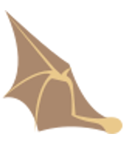 Bat Wing | The Sapling-Pedia | Fandom