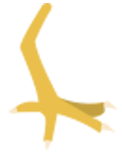 Bird Leg | The Sapling-Pedia | Fandom