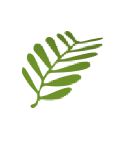 Fan Leaf | The Sapling-Pedia | Fandom