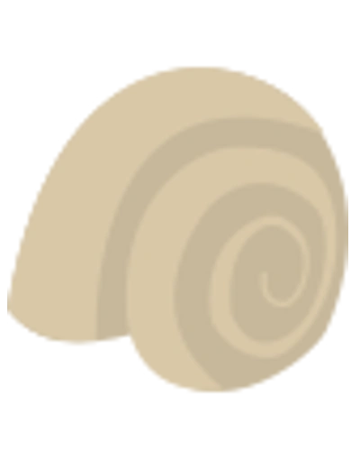Helical Shell | The Sapling-Pedia | Fandom