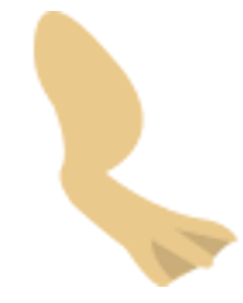 Webbed Feet | The Sapling-Pedia | Fandom