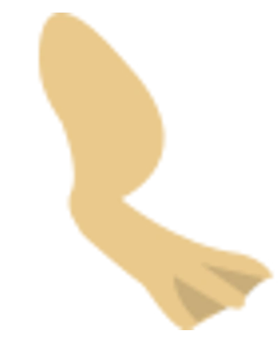 Webbed Feet | The Sapling-Pedia | Fandom