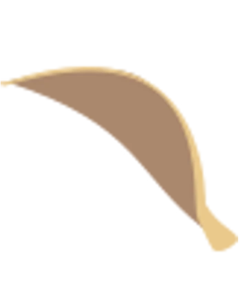 Pterosaur Wing | The Sapling-Pedia | Fandom