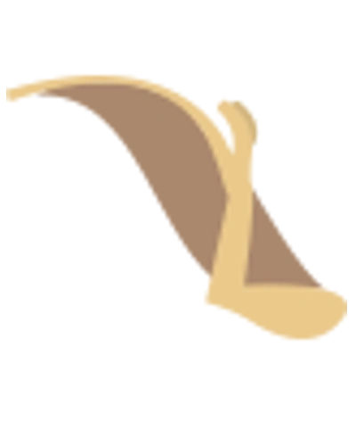 Pterosaur Arm | The Sapling-Pedia | Fandom