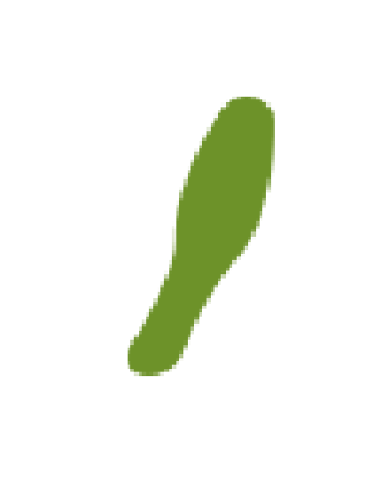 Primitive Leaf | The Sapling-Pedia | Fandom