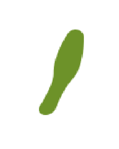 Primitive Leaf | The Sapling-Pedia | Fandom