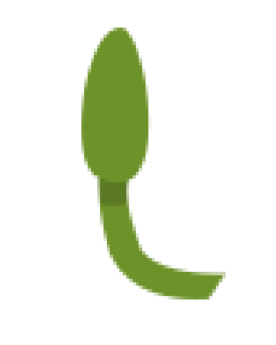 Primitive Flower | The Sapling-Pedia | Fandom