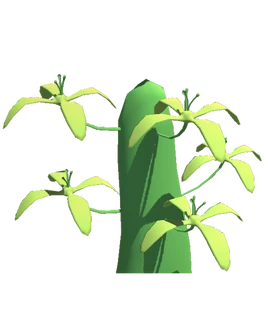 Floppy Flower | The Sapling-Pedia | Fandom