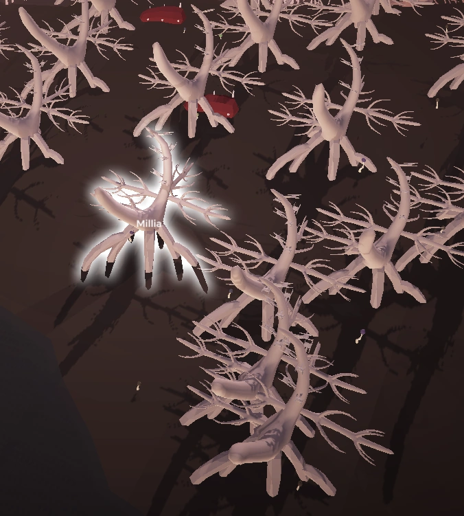 Wright-1b-125611 | The Sapling-Pedia | Fandom