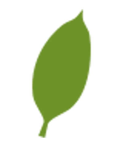 Drip Leaf | The Sapling-Pedia | Fandom