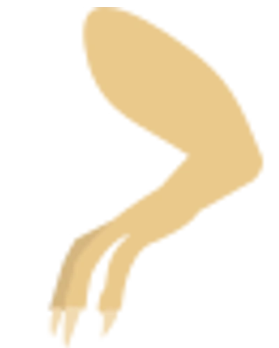 Clawed Arm | The Sapling-Pedia | Fandom