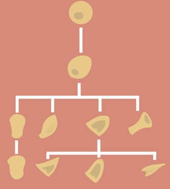 Ears | The Sapling-Pedia | Fandom