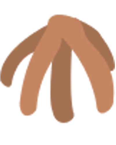 Small Holdfast | The Sapling-Pedia | Fandom