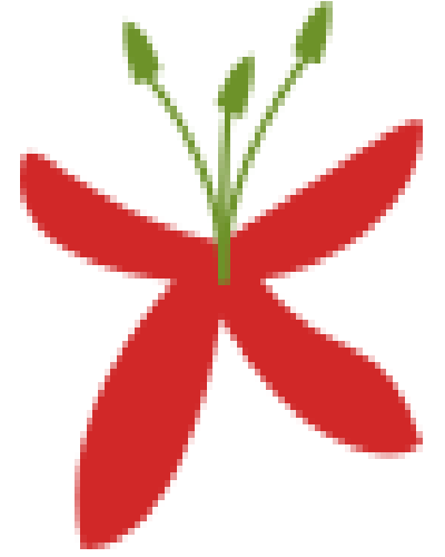 Floppy Flower | The Sapling-Pedia | Fandom