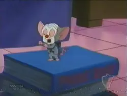 December 20, 1997 | The Saturday Morning Archives: CW/WB Edition Wiki ...