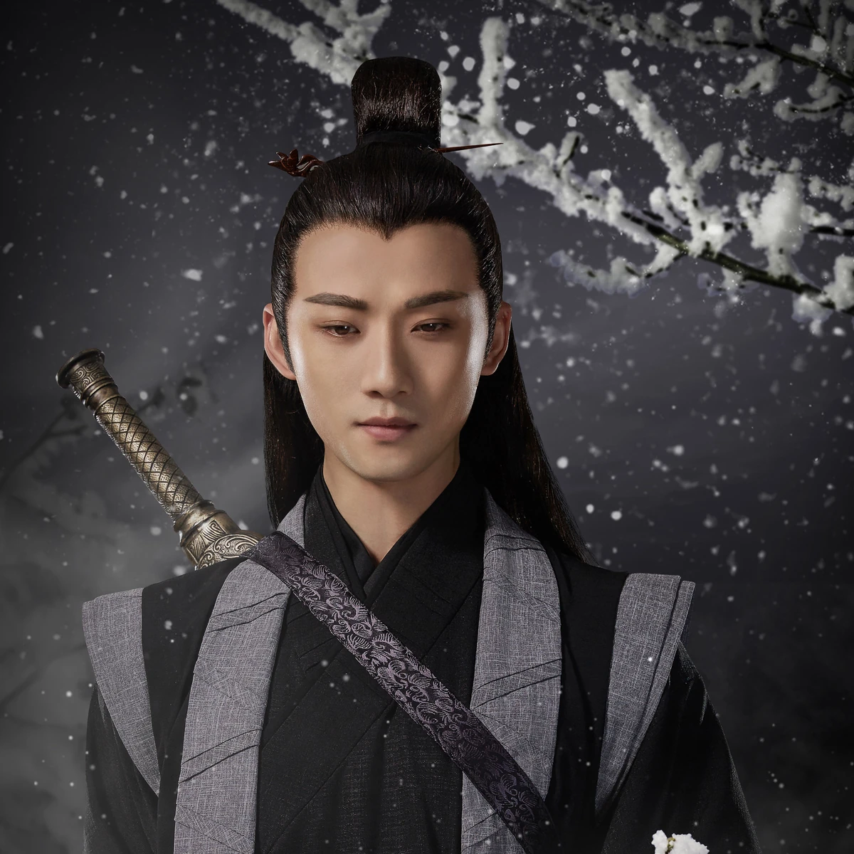 Song Zichen | The Scarlet Throne Wiki | Fandom