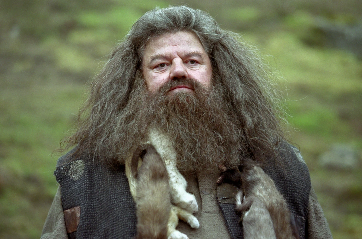 Hagrid | The Scary Shattered Verse Wiki | Fandom