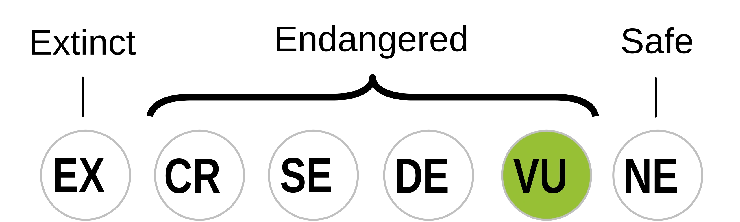 Discuss Everything About Schoolrooms Wiki | Fandom